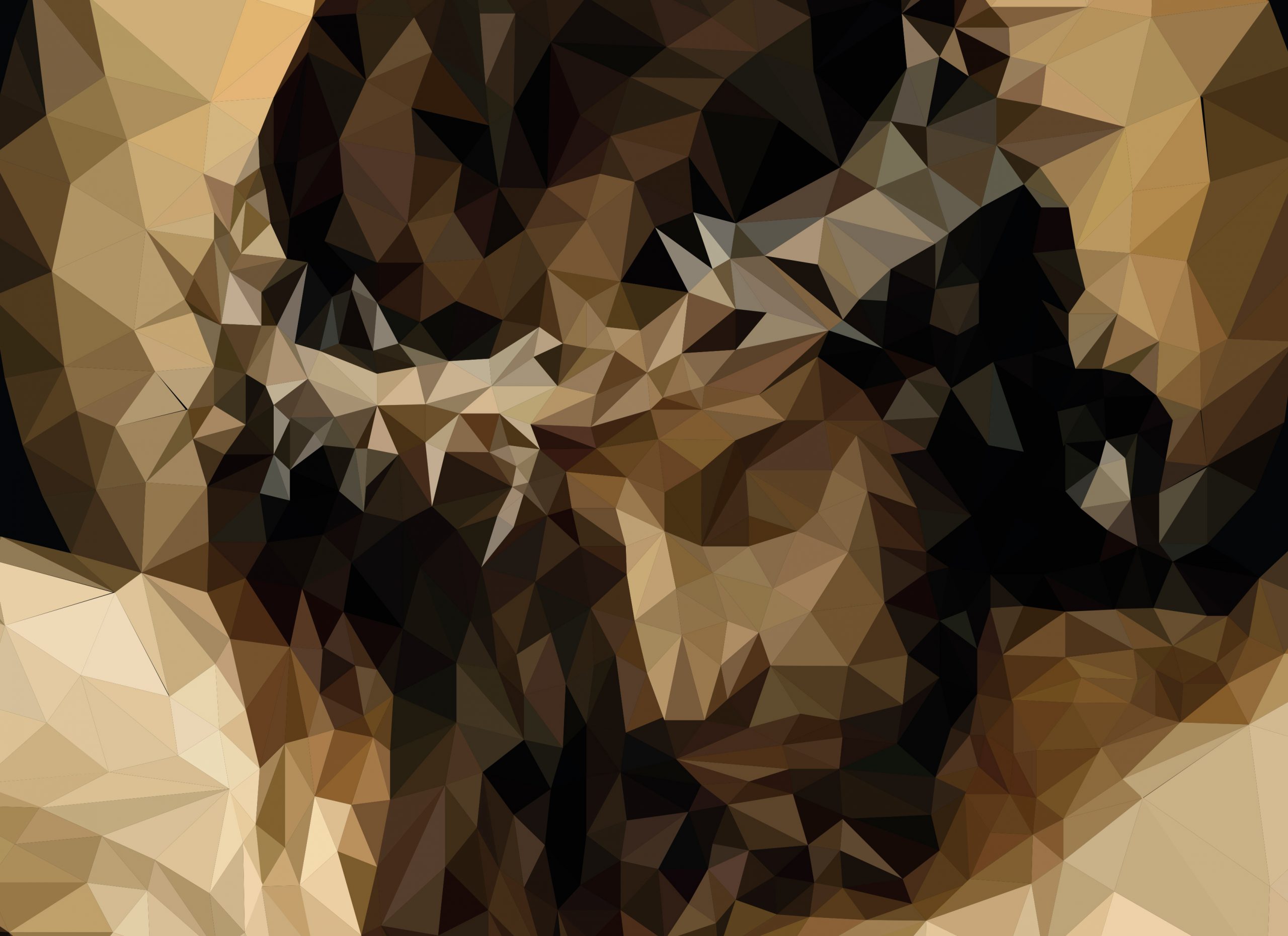 NATIVITY CHURCH OF FARGO (Roman Catholic Church)